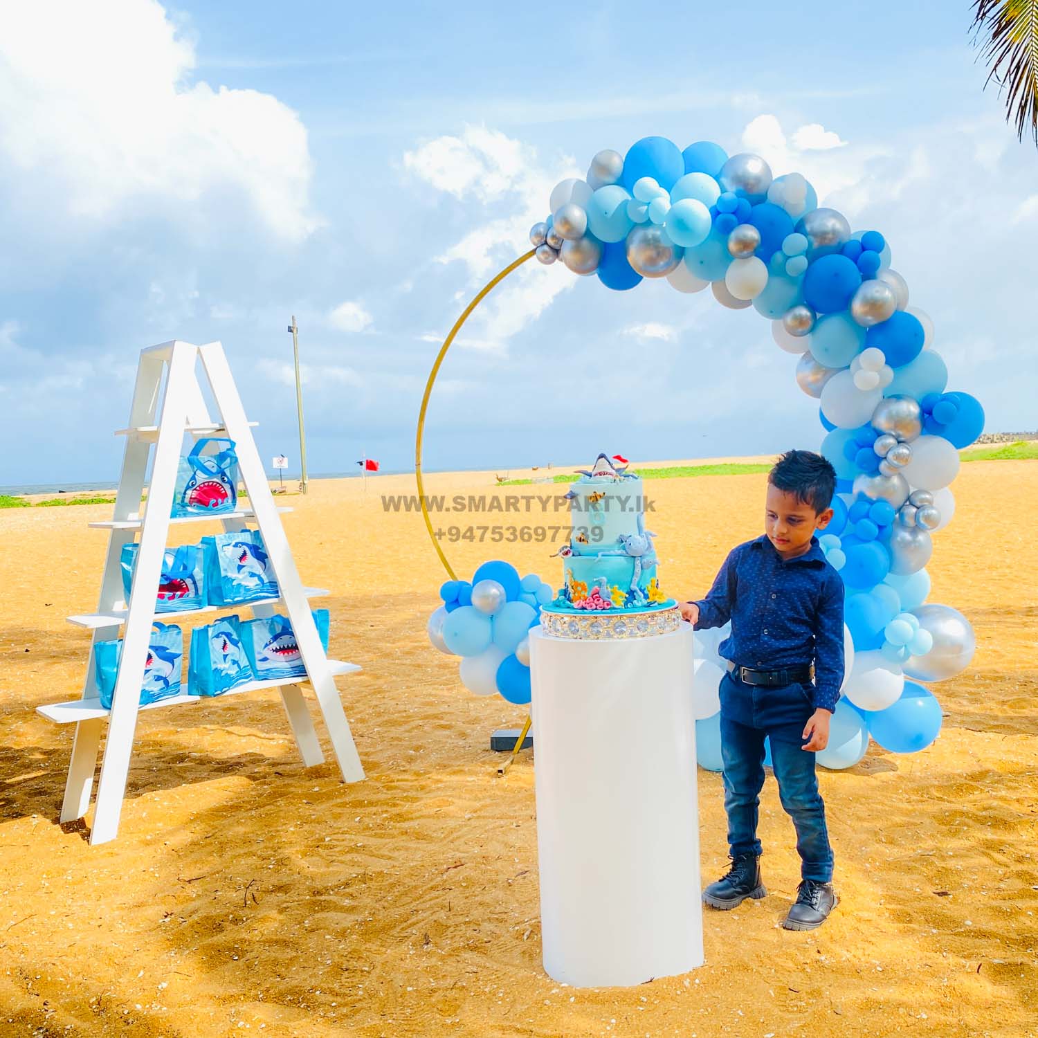 Blue White Silver Ring Backdrop – Smarty Party Creations